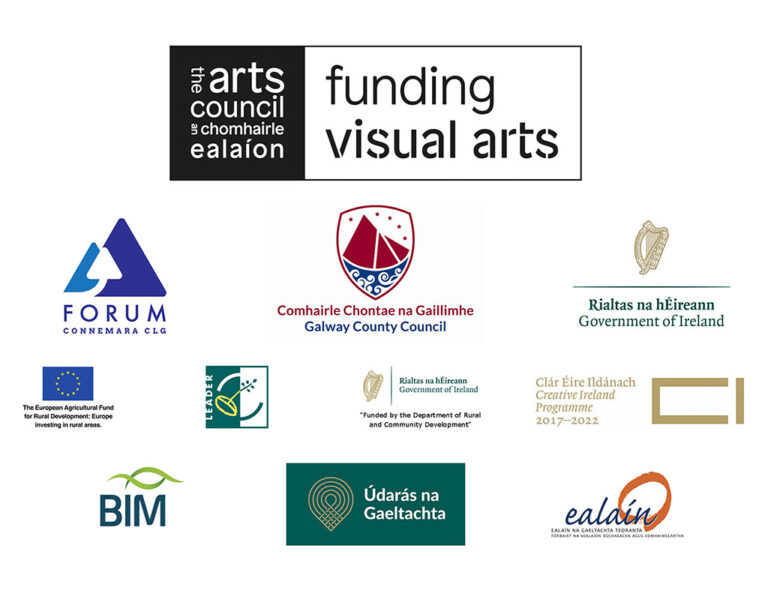 INTERFACE – where science meets art | Inagh Valley, Connemara